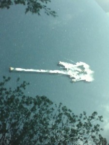 The Bird Who Did That Guitar Poo is a Guitar Hero! - Guitar Fail