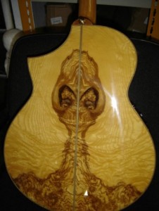 Alien Guitar - Guitar Fail